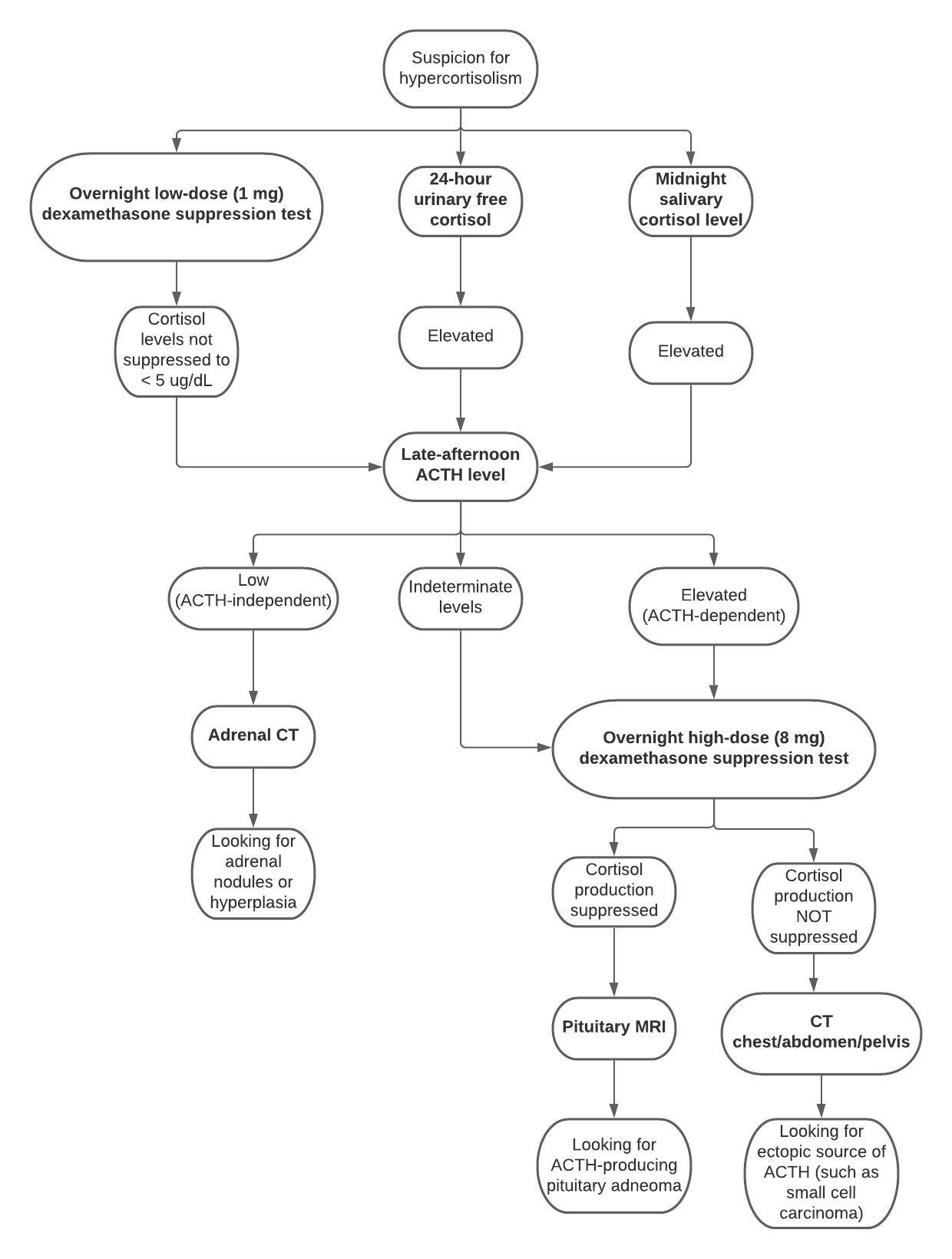 Cushing Syndrome – Home